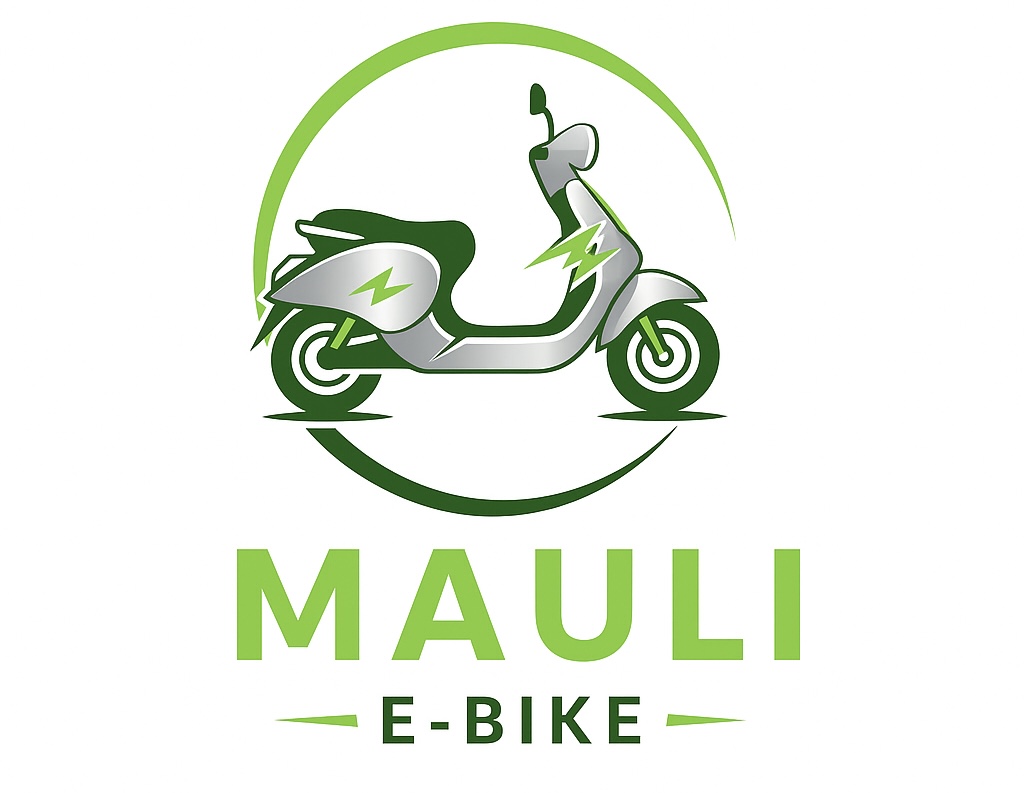 Mauli Electric Bike